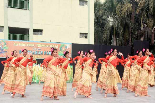 WELCOME TO D.A.V. PUBLIC SCHOOL, PUSHPANJALI ENCLAVE